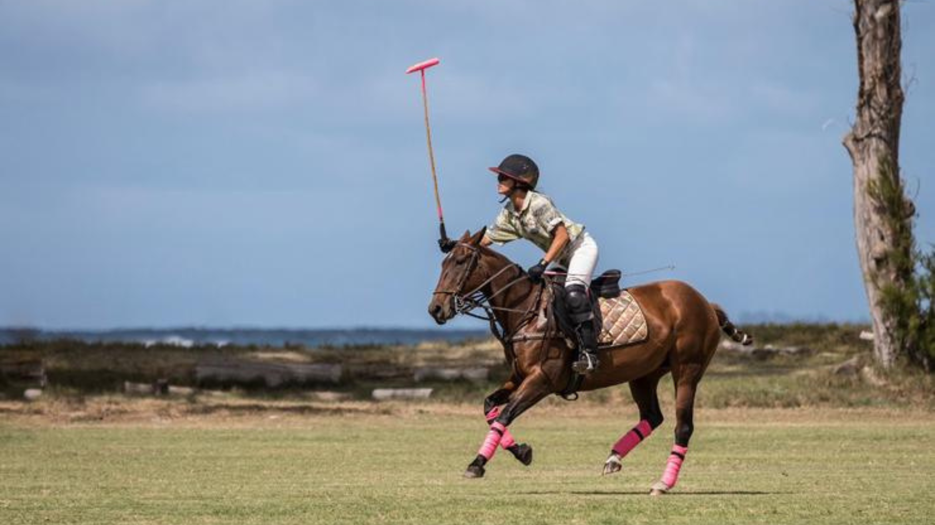 Connect with Women Polo Players Worldwide | Women's Polo Organization